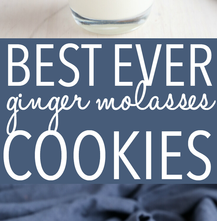 Best Ever Ginger Molasses Cookies