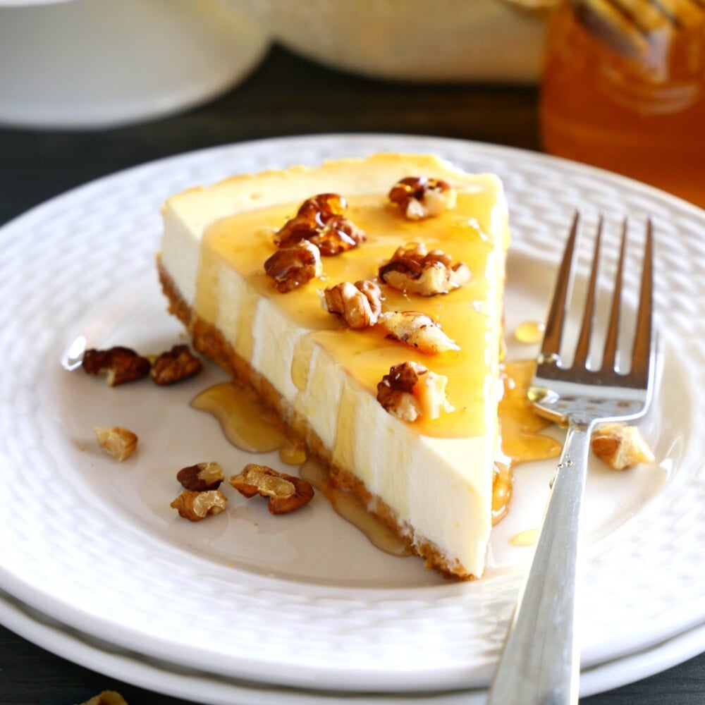 Greek Yogurt Cheesecake {Low Fat} - The Busy Baker
