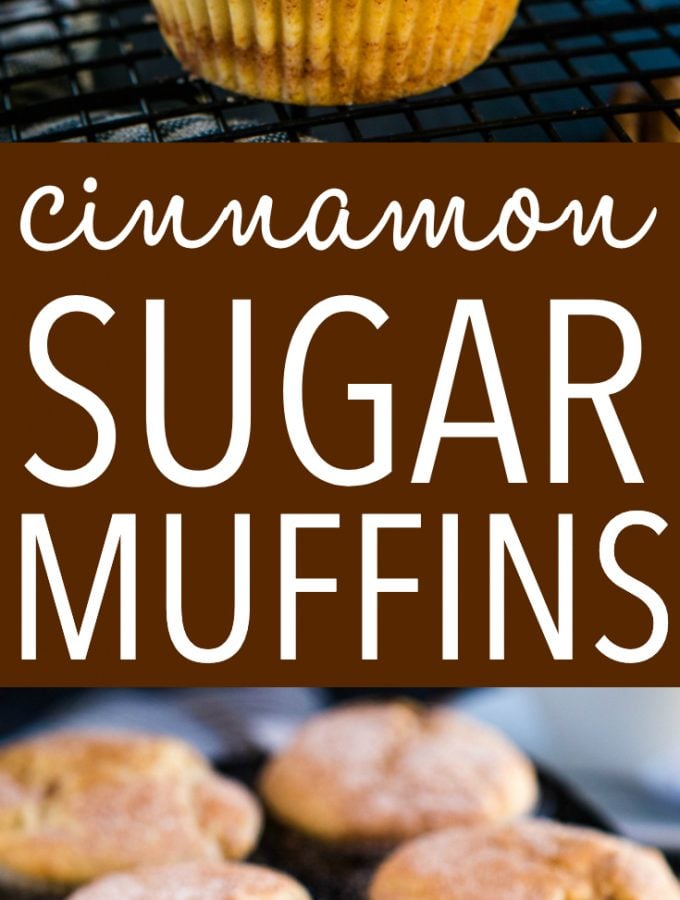 Cinnamon Sugar Muffins {Easy Muffin Recipe} - The Busy Baker