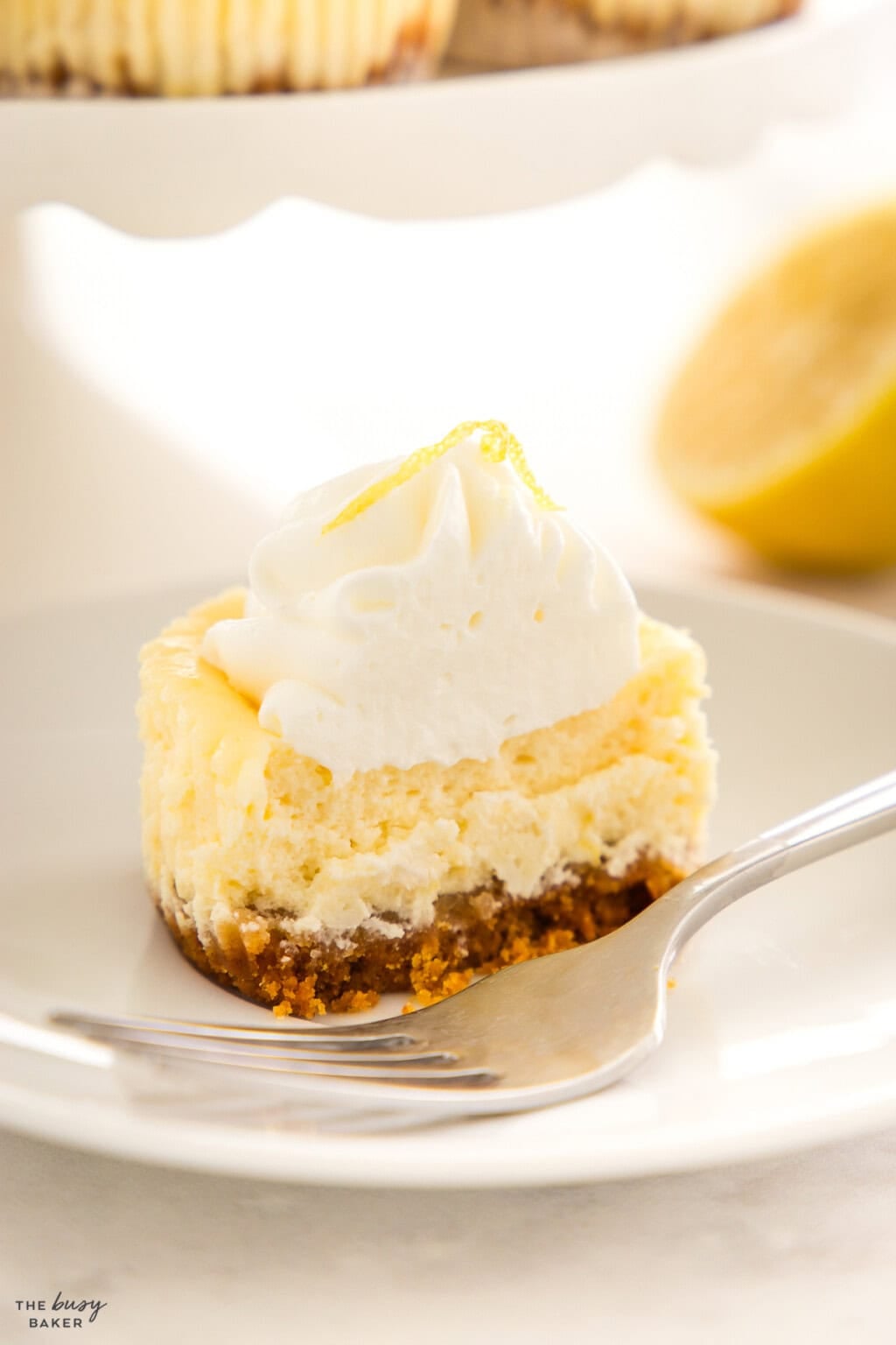 Easy Mini Lemon Cheesecakes {Easy Dessert} - The Busy Baker