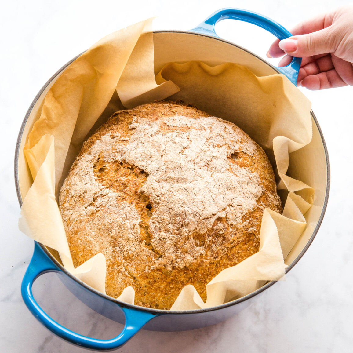 Recipe Videos Archives - The Busy Baker