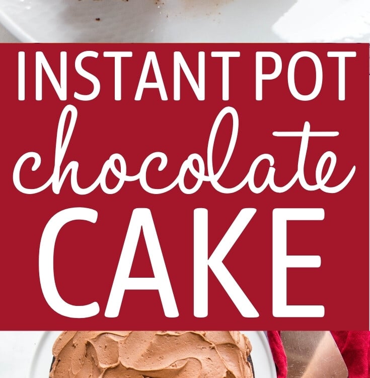 Easy Instant Pot Chocolate Cake - The Busy Baker