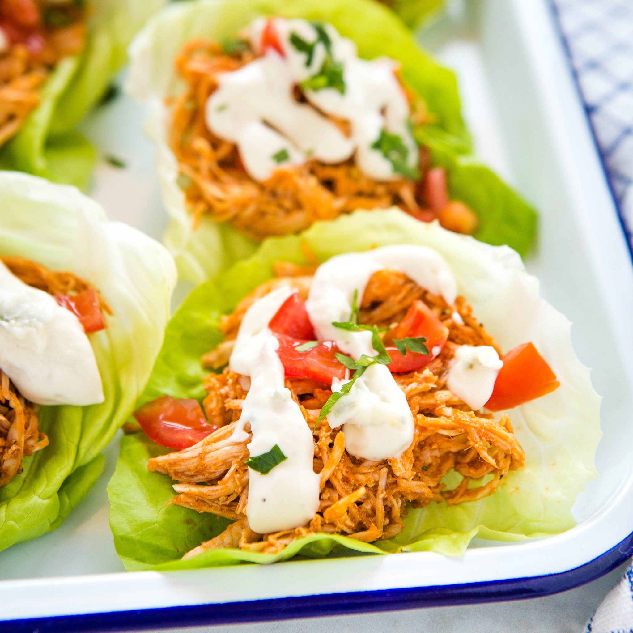 Instant Pot Buffalo Chicken {Low Carb!} - The Busy Baker