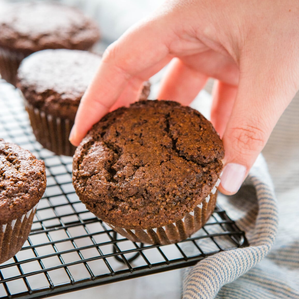 Muffin and Loaf Recipes - The Busy Baker