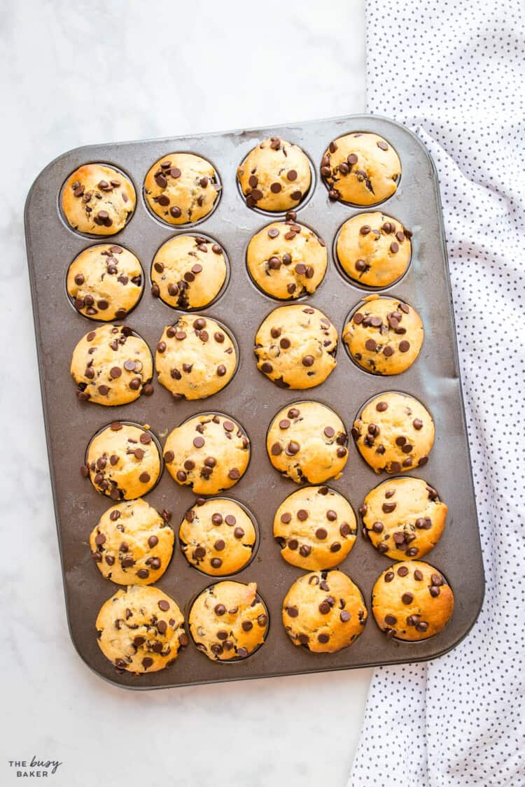 Chocolate Chip Mini Muffins - The Busy Baker