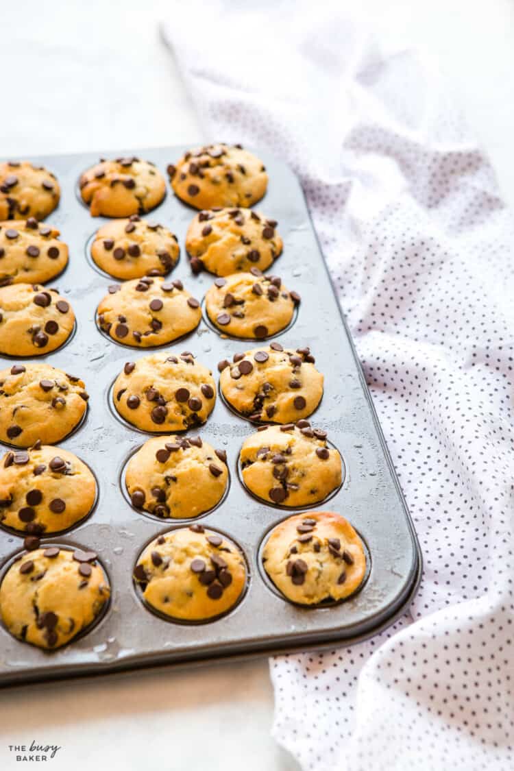 Chocolate Chip Mini Muffins - The Busy Baker