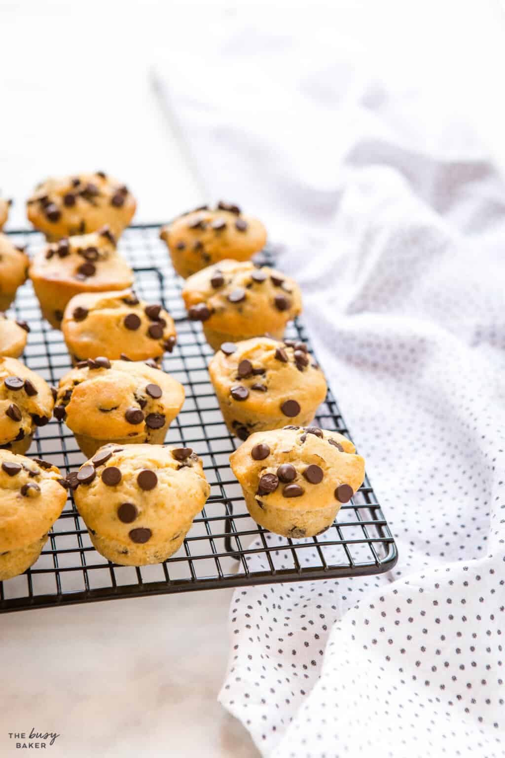 Chocolate Chip Mini Muffins - The Busy Baker