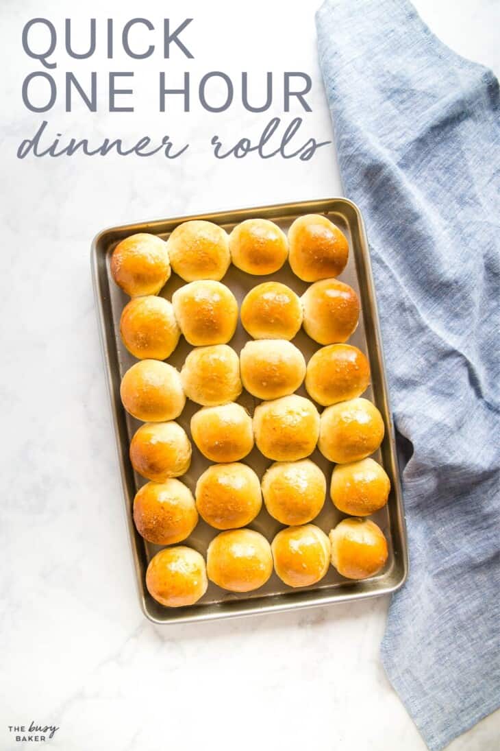 Quick Dinner Rolls - Ready in One Hour - The Busy Baker