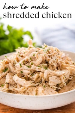 How to Make Shredded Chicken - The Busy Baker