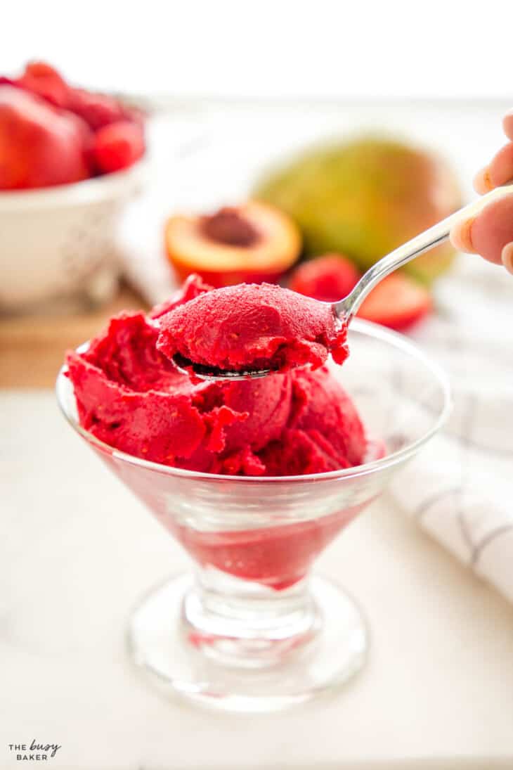How to Make Sorbet - The Busy Baker