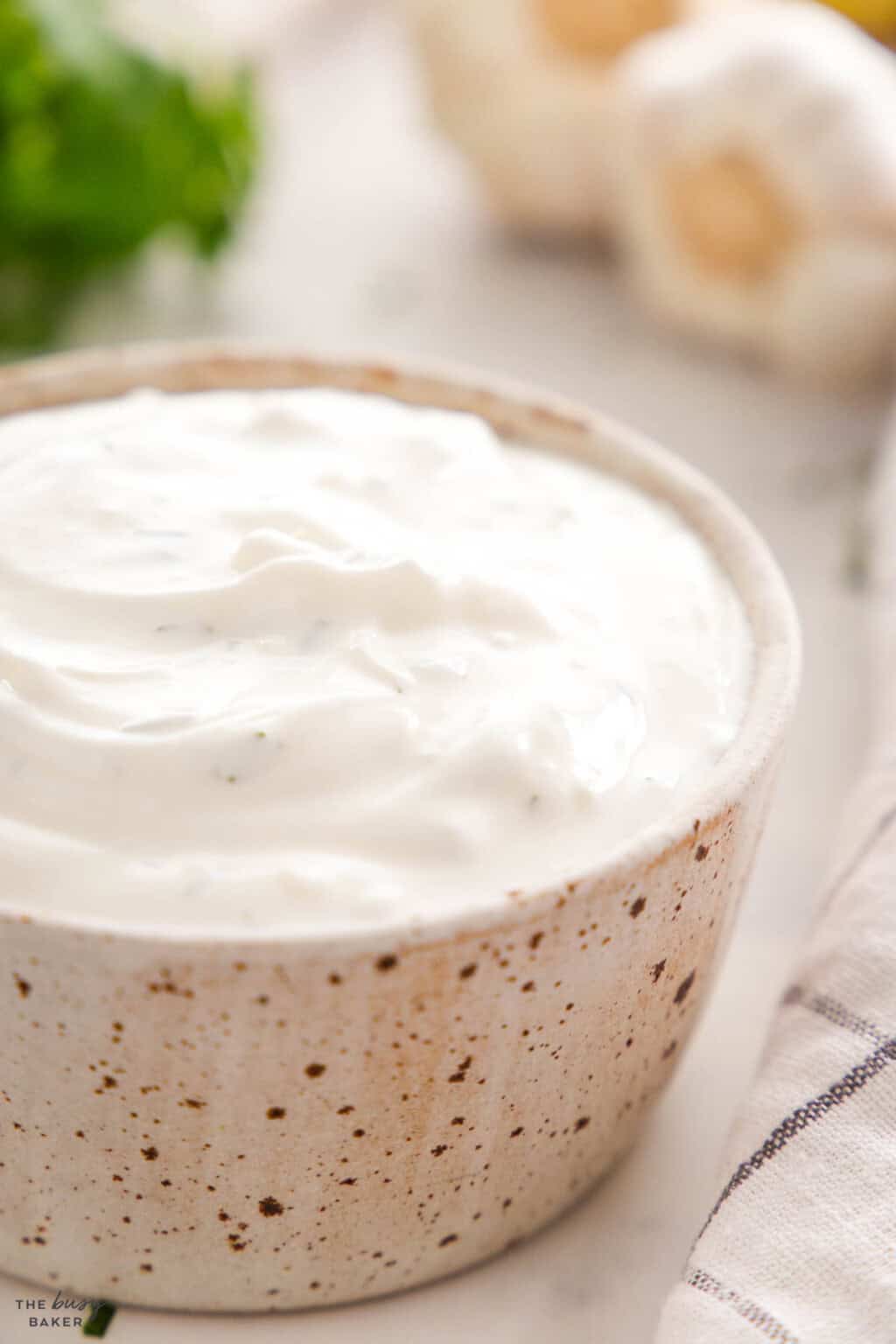 Garlic Sauce - The Busy Baker