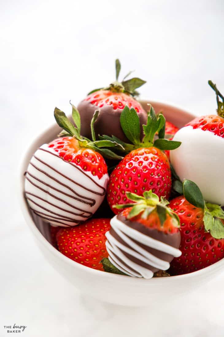 Chocolate Covered Strawberries - The Busy Baker