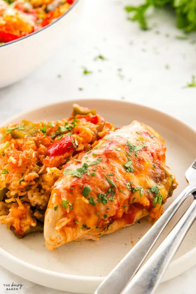 Baked Salsa Chicken and Rice - The Busy Baker