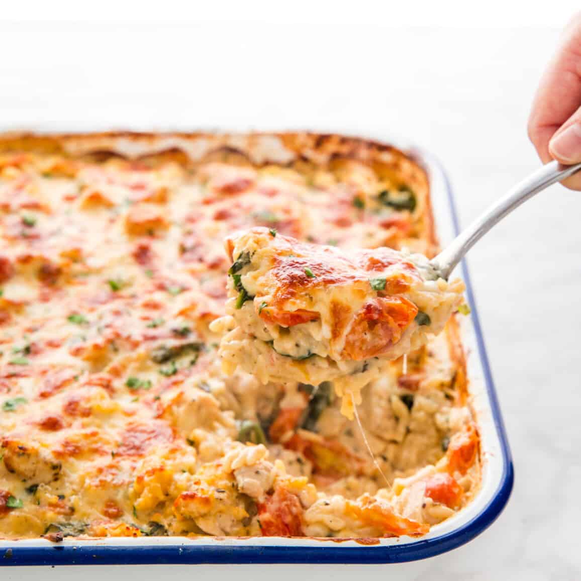 Quick Oven Meals - The Busy Baker