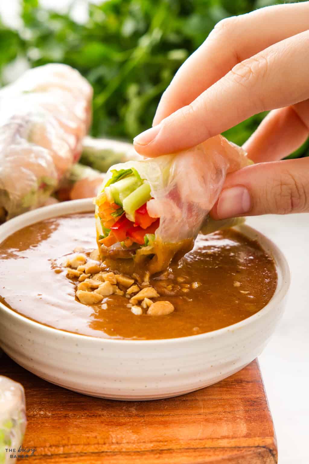 Peanut Sauce - The Busy Baker