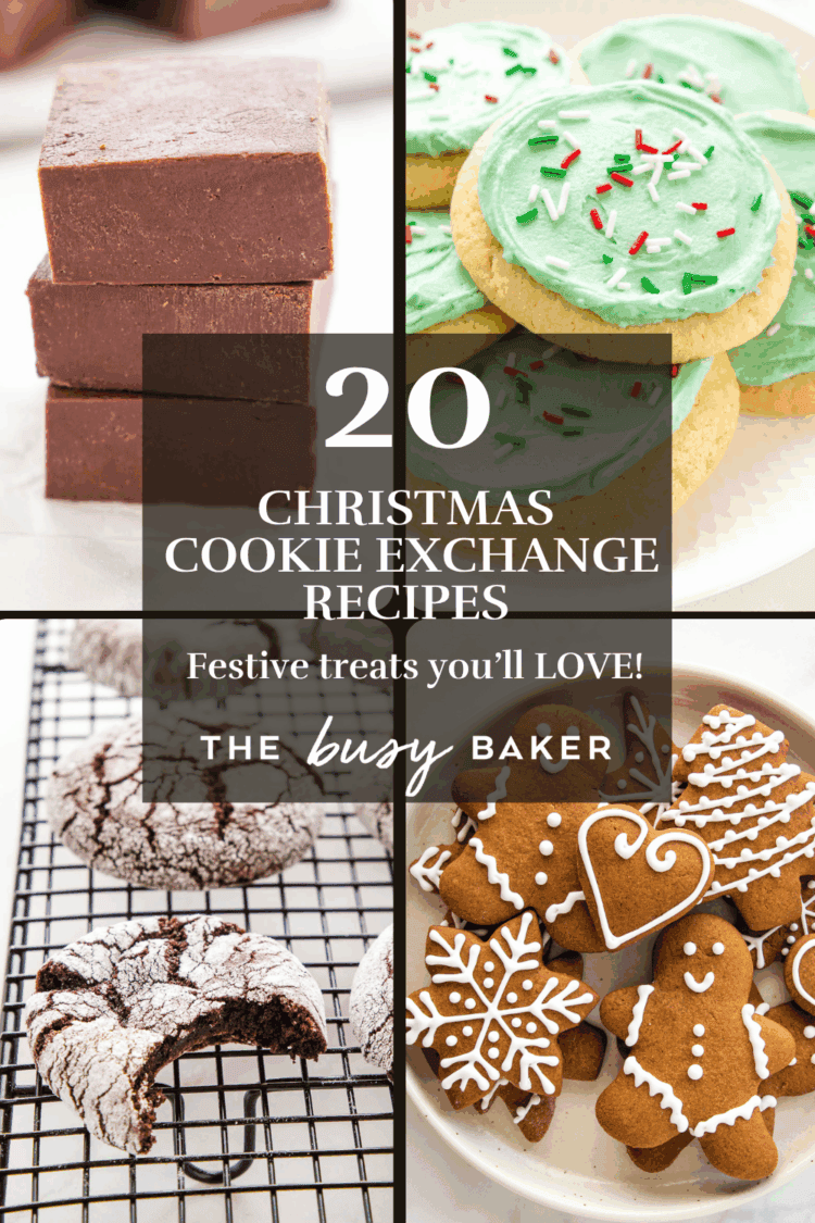 20 Cookie Exchange Recipes - The Busy Baker